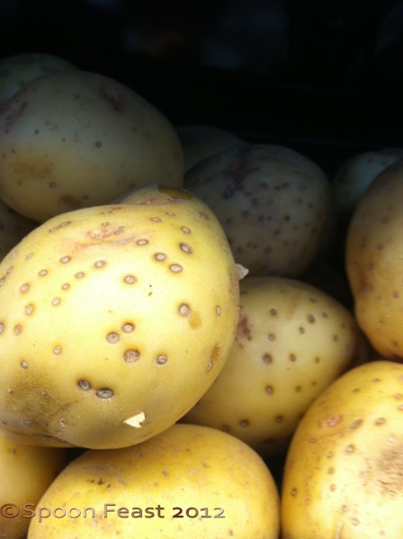 All About Potatoes – What is the difference? | Spoon Feast