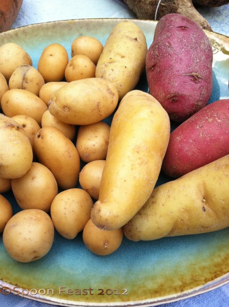 All About Potatoes – What is the difference? | Spoon Feast